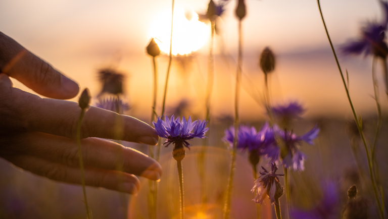 Business Reserve Account | Commercial Banking | Coutts